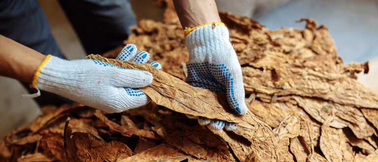 Tobacco Processing - Dristeem